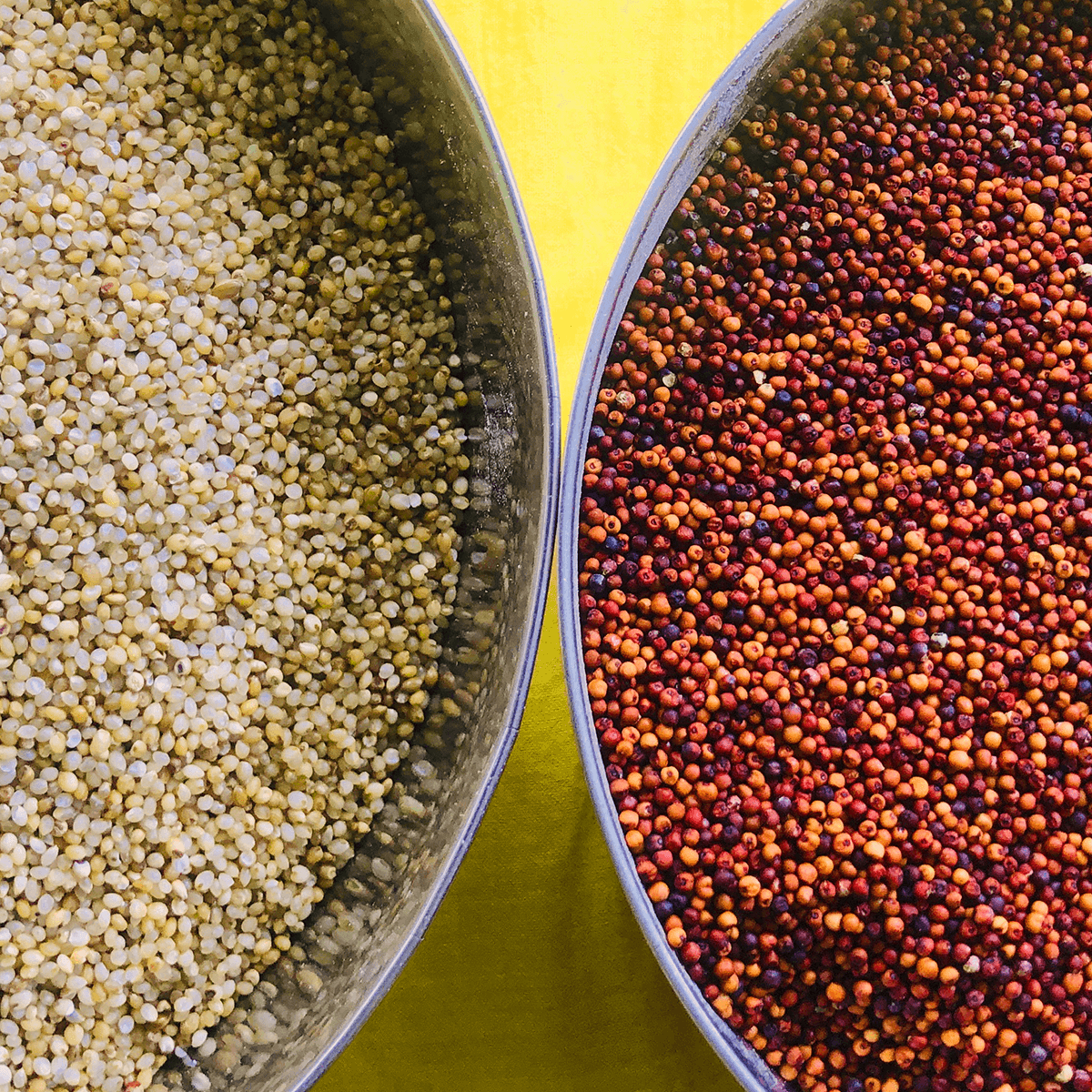 Millets – Organic Bazaar India